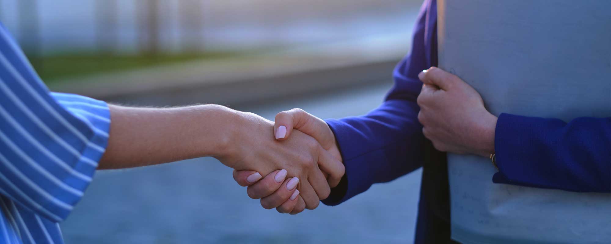 Canadian College and University Program Partnership – Rumi Academy